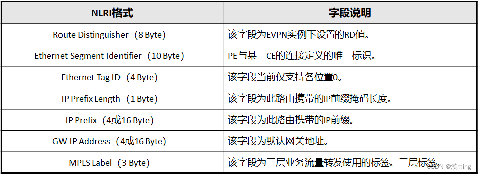 【EPVN】EVPN路由详解-CSDN博客