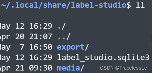 label-studio的内容存储数据库（sqlite3）读取_label studio 数据库-CSDN博客