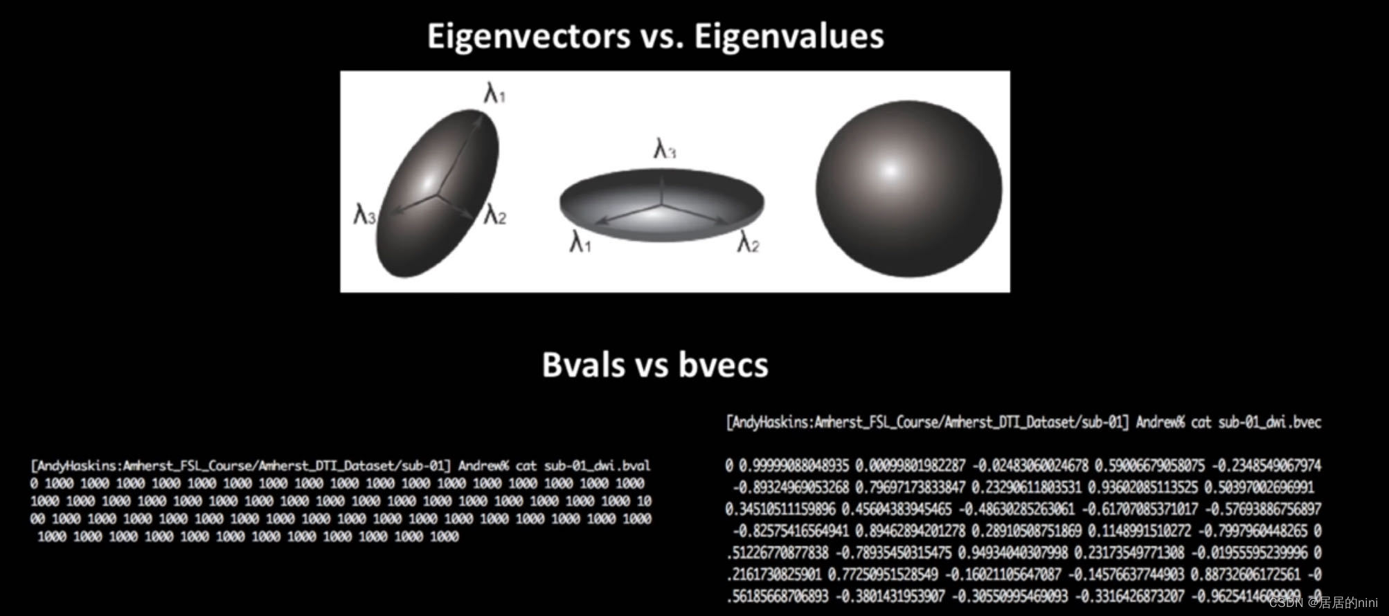 【DTI】_bvec和bval文件-CSDN博客