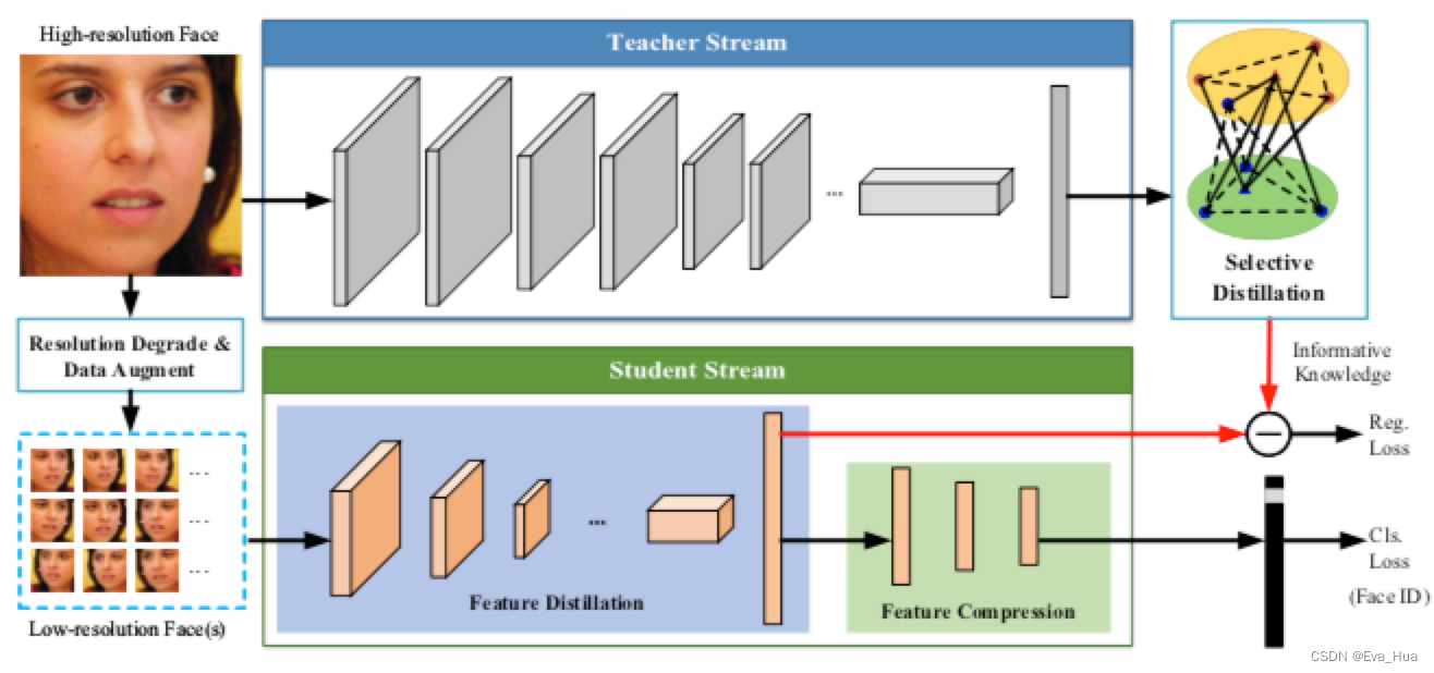 低分辨率人脸识别--蒸馏法《Low-resolution Face Recognition in the Wild via Selective ...