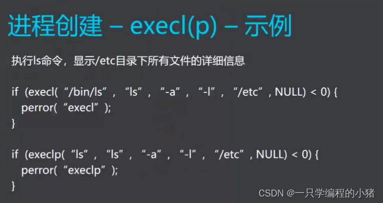 level 5 day2_创建子进程并用exec族函数-CSDN博客