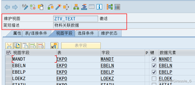 Abap基础：数据字典表、表维护试图维护视图、视图簇总结abap 维护视图 Csdn博客