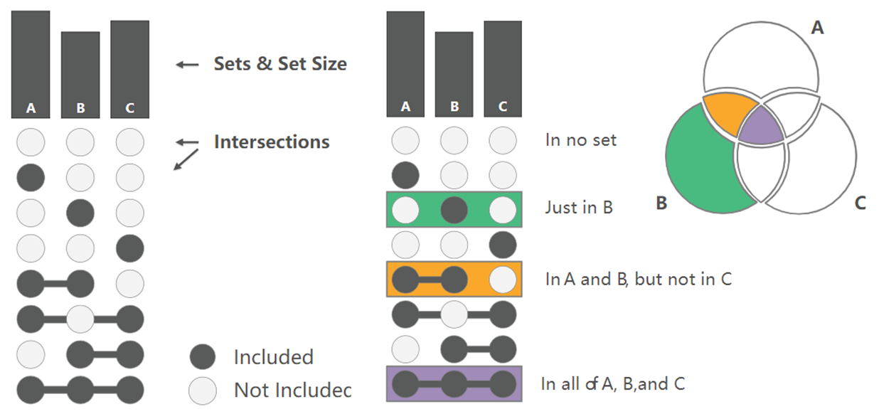 R语言中使用UpSet包绘制多集合Venn图_r语言 分组的upset图-CSDN博客