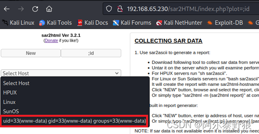 实战打靶集锦-012-sar2HTML-CSDN博客