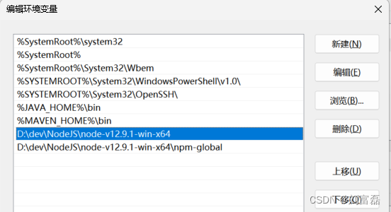 （LFL）zip包形式安装nodejs和npm-CSDN博客
