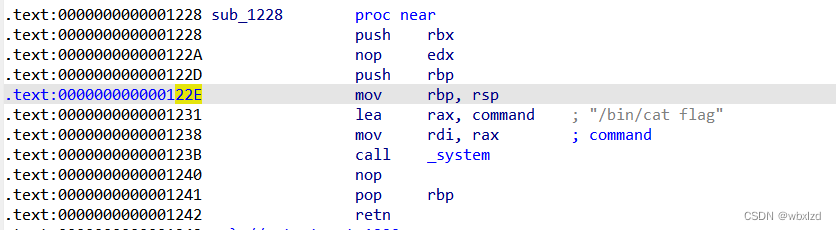 pwn-canary绕过和PIE(未完待续)_pwn pie-CSDN博客