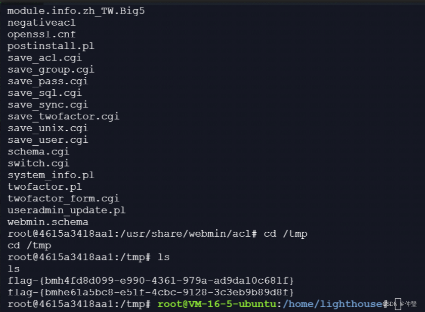 webmin远程命令执行漏洞(CVE-2019-15107)_webmin 远程命令执行漏洞(cve-2019-15107)-CSDN博客