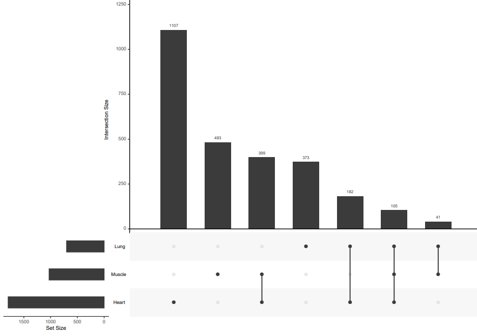 upset图形如何理解_upset图怎么看-CSDN博客