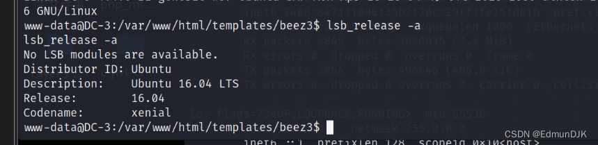 DAY29（DAY30拓展）：Vulnhub--靶机实战_actiontec mi424wr-gen3i wap-CSDN博客