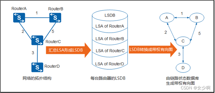 全站最详细的OSPF介绍-CSDN博客