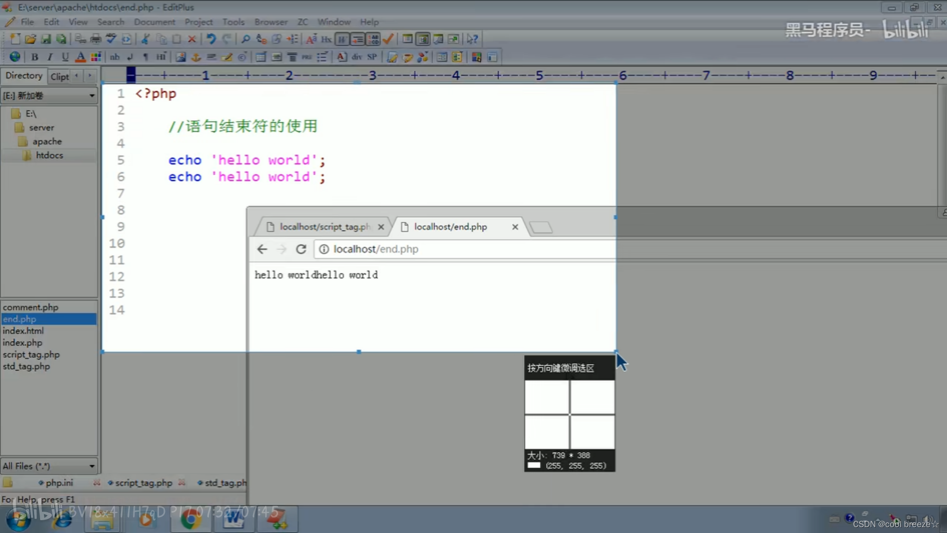PHP语言学习一语句结束符及变量的使用_echo $this->frparam('tid'); 结束用什么语句-CSDN博客