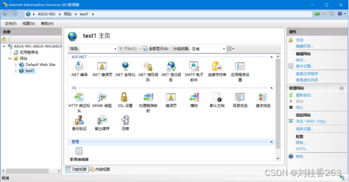 如何将cookie中httponly属性设置为true？（预防XSS攻击）-CSDN博客