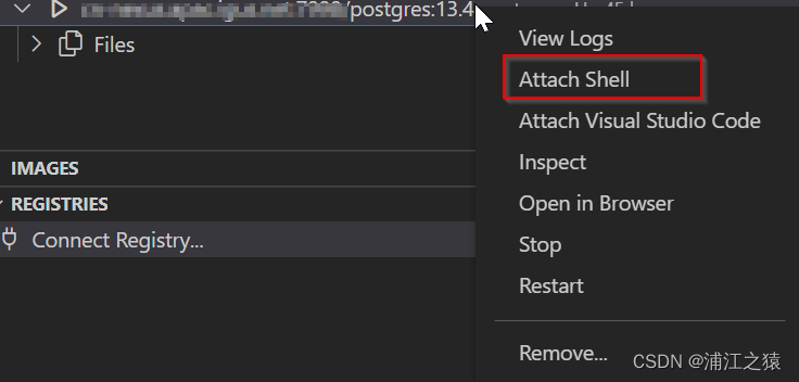 VS Code uses docker to run postgres - Programmer Sought