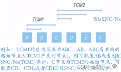 OTN电层的保护&SNCP保护详解_vc sncp-CSDN博客