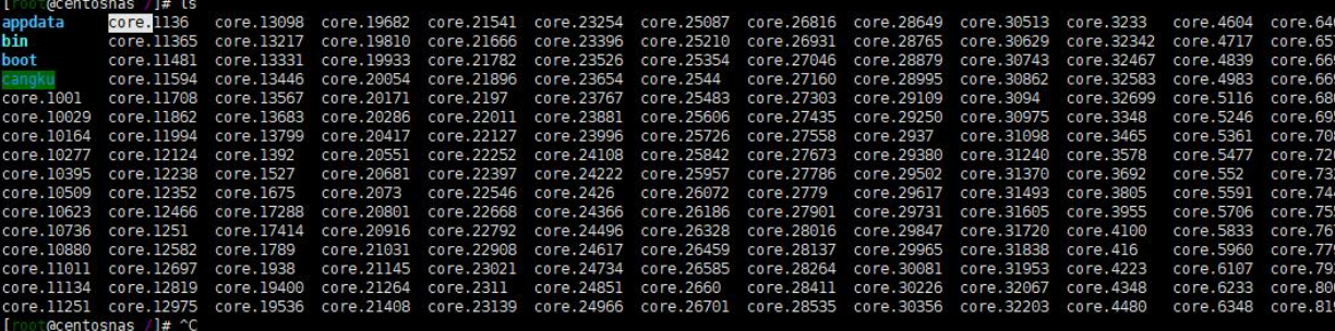 centos7 目录老是生成core. 文件，把磁盘占满的解决_centos core文件-CSDN博客