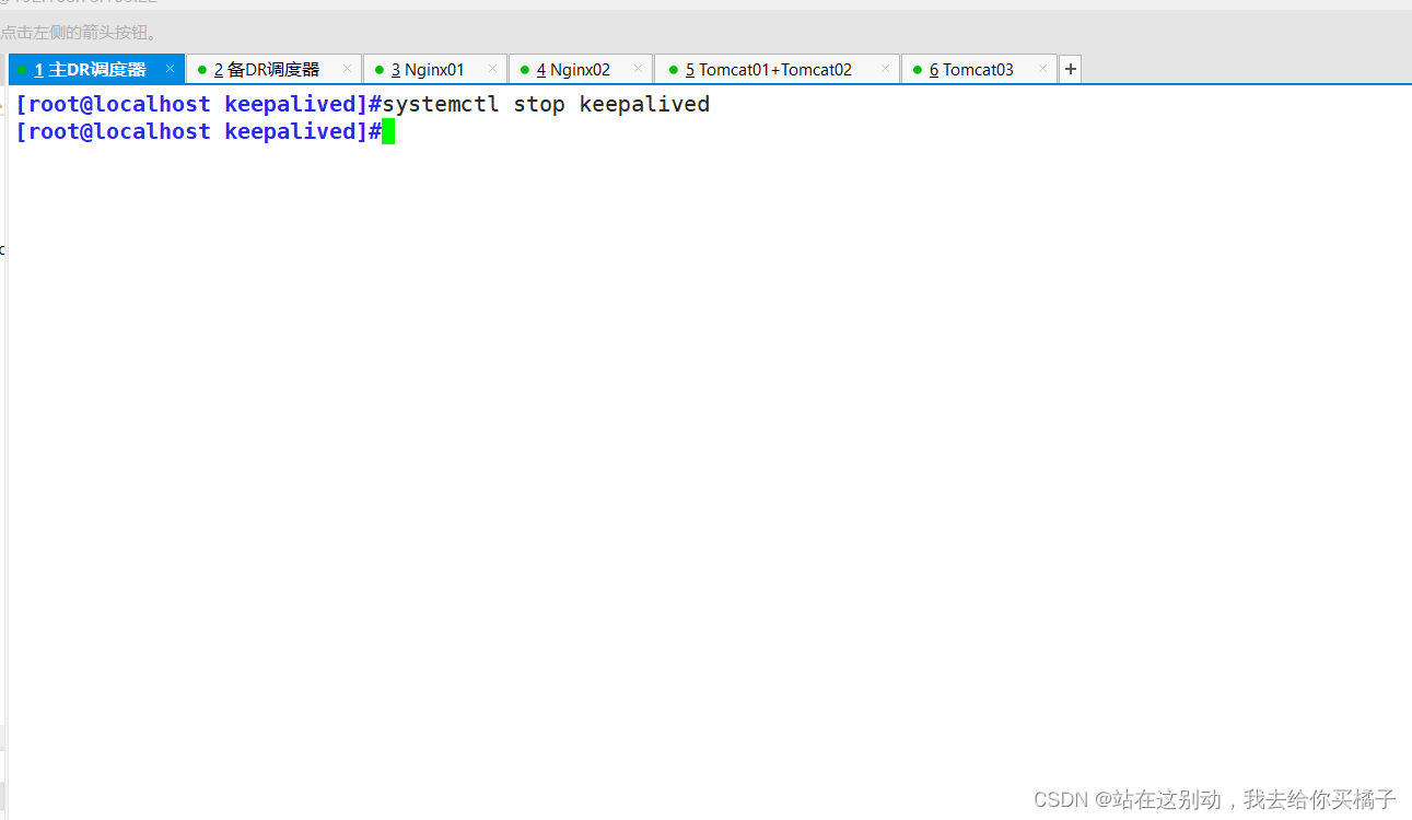 负载均衡的综合部署练习（LVS-DR模式+keepalived+Nginx七层反向代理+Tomcat多实例）_lvs七层负载如何搭建-CSDN博客