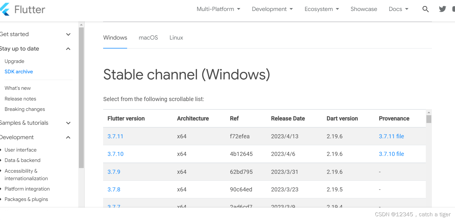 混合框架Flutter之 环境搭建_flutter框架怎么运行-CSDN博客