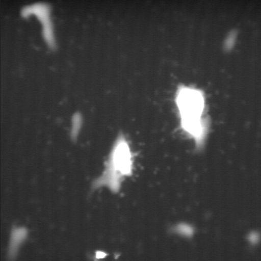 Halcon defect detection dust check - Programmer Sought