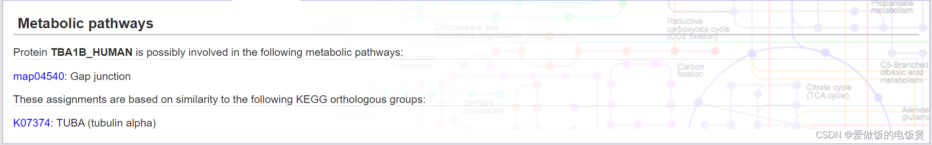 一文了解蛋白功能结构域预测与分析-CSDN博客