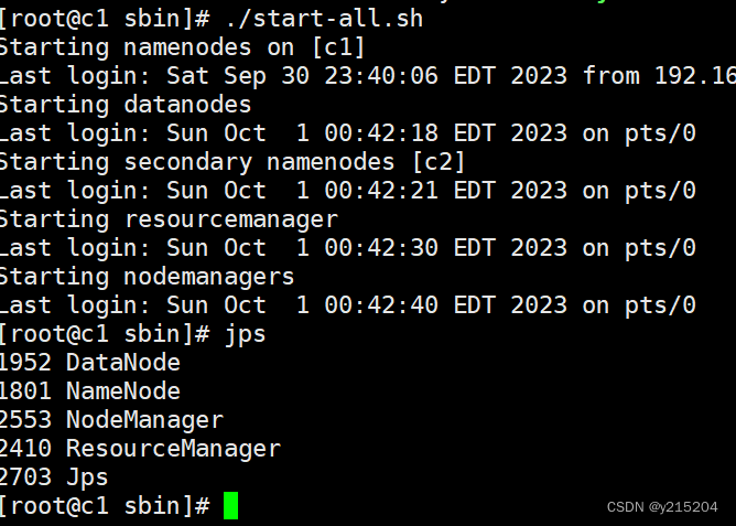 Hadoop集群启动后，缺少namenode或datanode进程_hadoop启动jps缺少namenode-CSDN博客