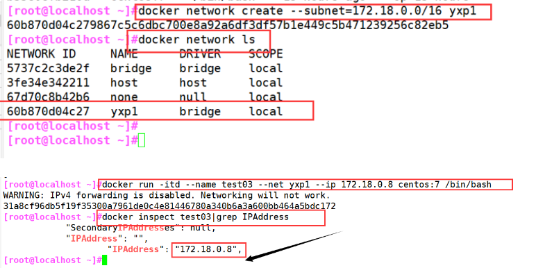 Docker 网络详解（host、container、none、Bridge网络模式）_docker host-CSDN博客