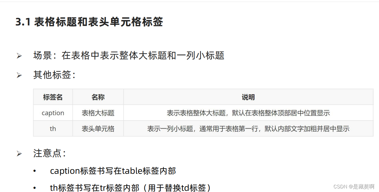 前端学习day2 标签 Csdn博客 