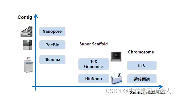 基因组组装（assembly）-CSDN博客