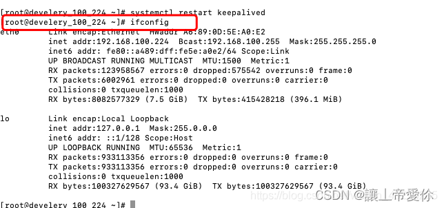 keepalived实现双vip部署_keepalived配置多个vip-CSDN博客