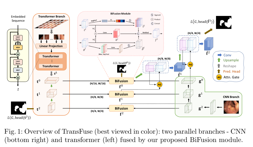[Transformer]TransFuse: Fusing Transformers and CNNs for Medical Image ...