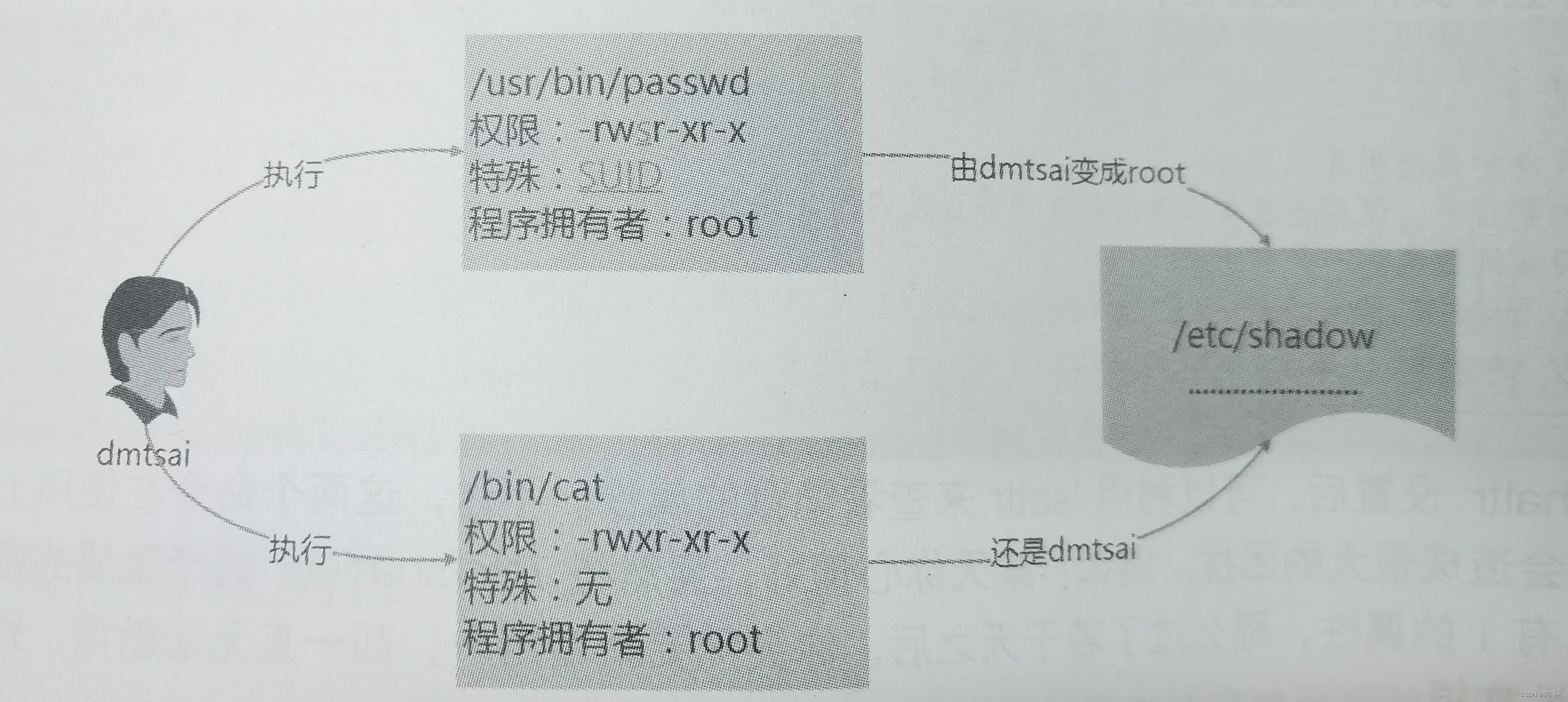 Linux入门基础——特殊权限_sgi xfs with acls, security attributes, no debug e-CSDN博客