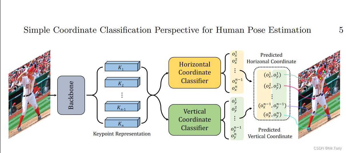 SimCC: a Simple Coordinate Classification Perspective for Human Pose Estimation翻译与笔记-CSDN博客