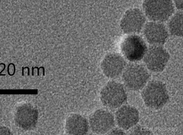 Cyclen-PEG-Fe3O4 ,Fe3O4-PEG-DOTA,轮环藤宁-聚乙二醇-四氧化三铁纳米粒-CSDN博客