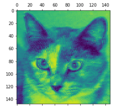 《Python 深度学习》5.4 卷积神经网络的可视化（代码）_cmap='viridis-CSDN博客