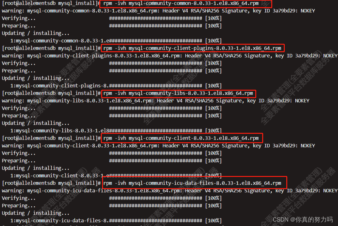 银河麒麟V10安装mysql-CSDN博客