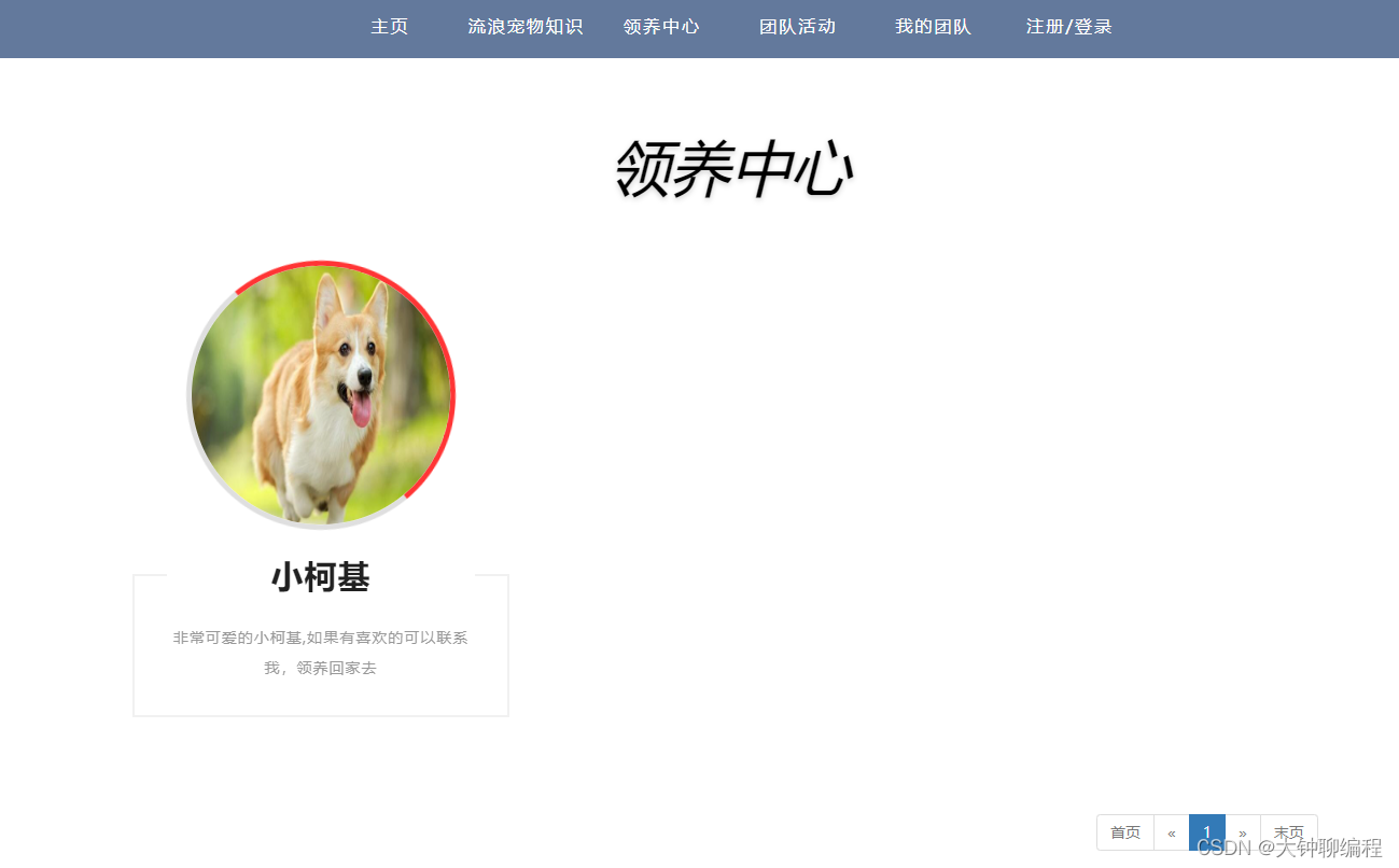 计算机毕业设计系列基于ssm的宠物领养管理系统基于ssm的宠物管理系统的项目发布介绍 Csdn博客