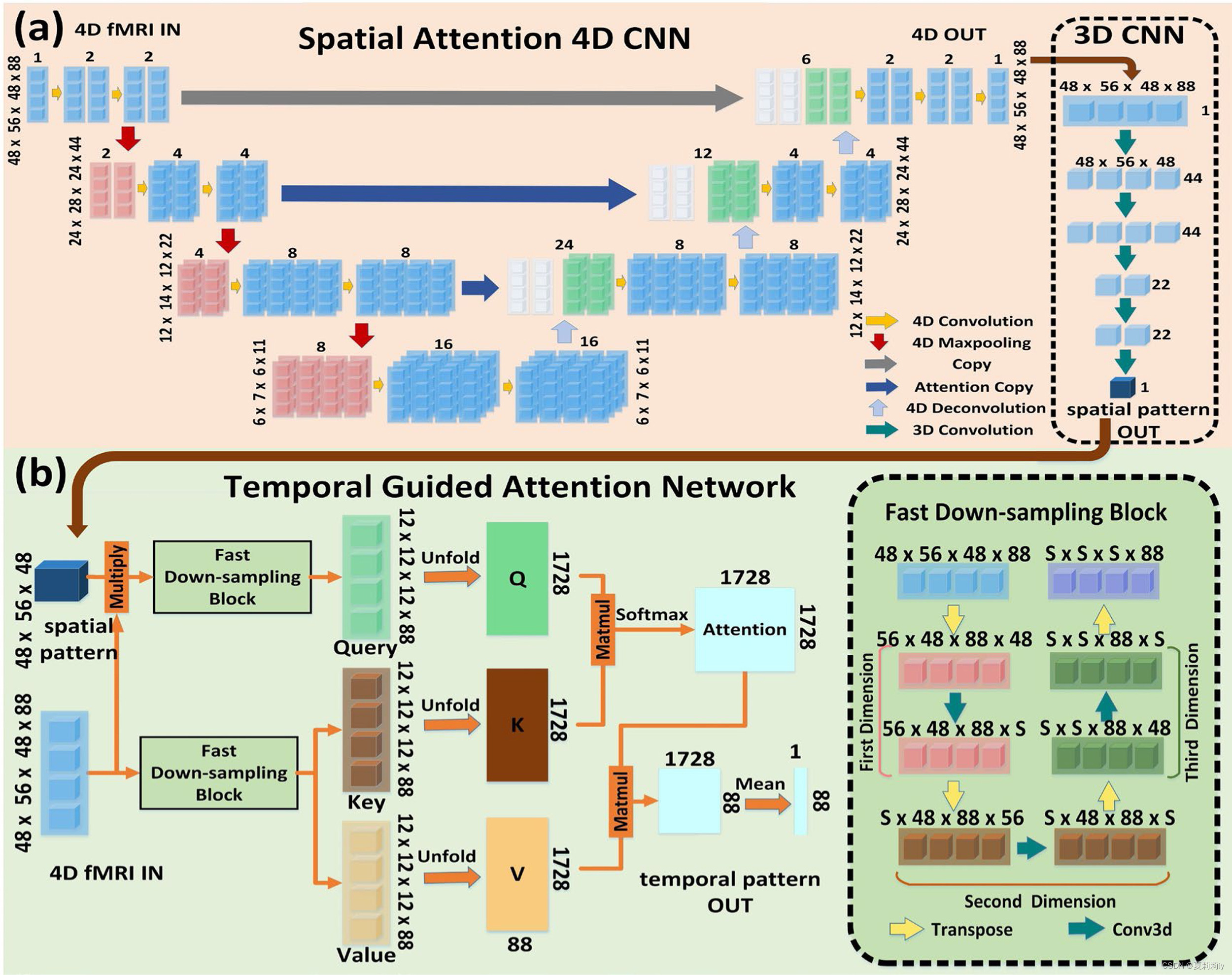 [论文精读]Characterizing functional brain networks via Spatio-Temporal Attention 4D Convolutional ...
