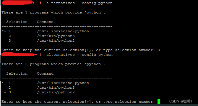 Alternatives的使用 切换python为例子python Alternative Csdn博客
