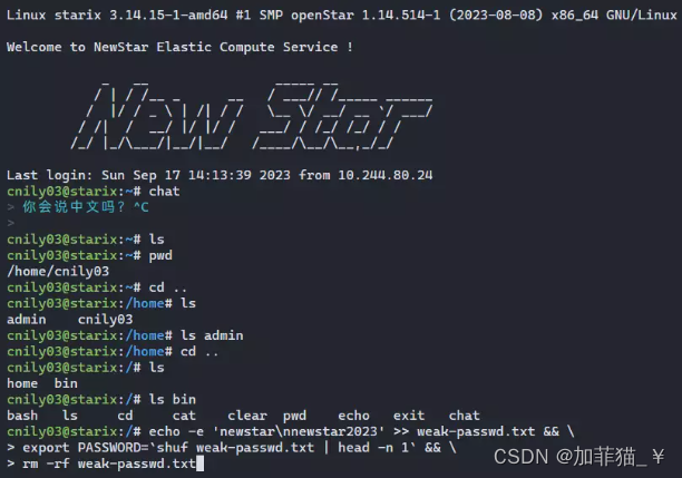 NewStarCTF 2023 Week1 web官方wp_newstartctf-CSDN博客