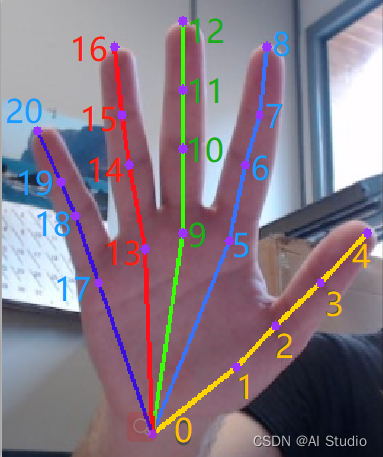 PP-TinyPose：自定义手部关键点检测模型的训练和评估-CSDN博客