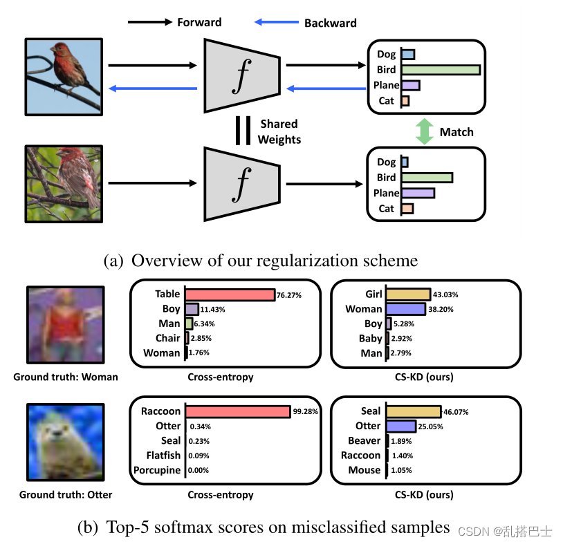 【论文笔记_自蒸馏_2020】Regularizing Class-wise Predictions via Self-knowledge Distillation-CSDN博客