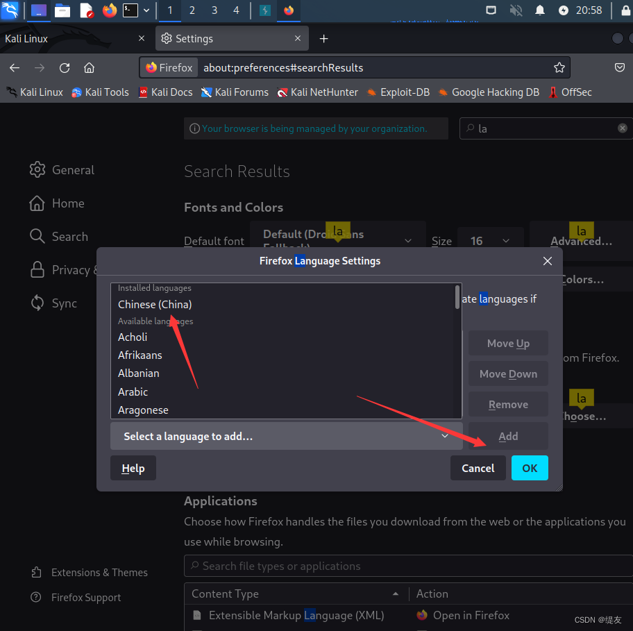kali火狐设置中文（无需命令）_kali火狐浏览器设置中文-CSDN博客