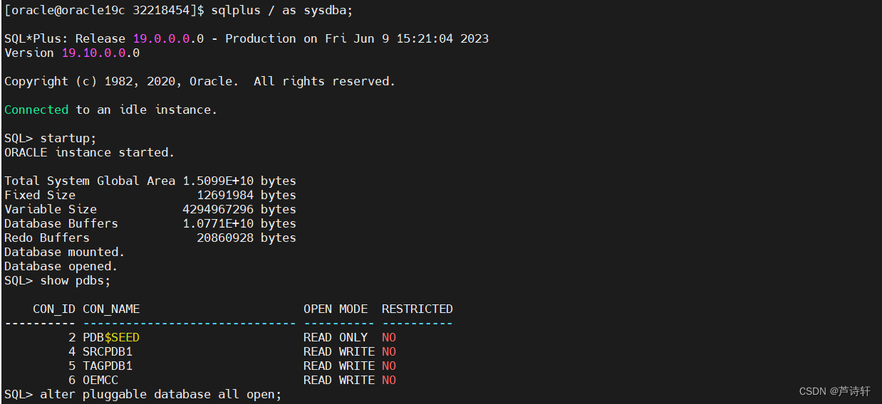 【oracle运维】oracle 19c 打补丁（p32218454）升级版本_oracle19c最新补丁-CSDN博客