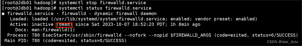 Hadoop集群启动及部署（内含xsync同步工具）_分发同步hadoop的配置环境-CSDN博客