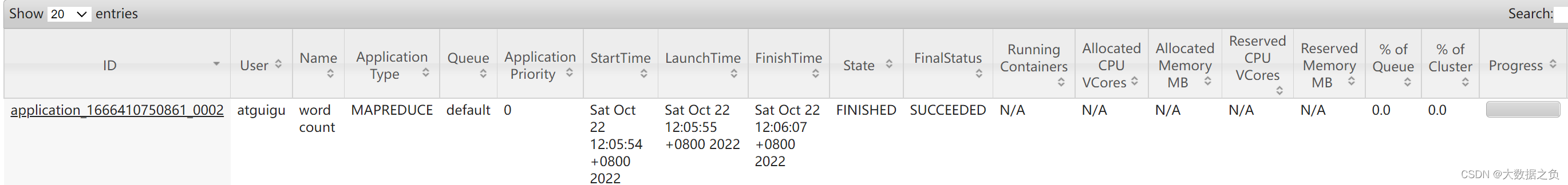 大数据—Hadoop（十六）_ Yarn_02、命令行操作和核心参数配置_hadoop如何查看每个application占用的资源-CSDN博客