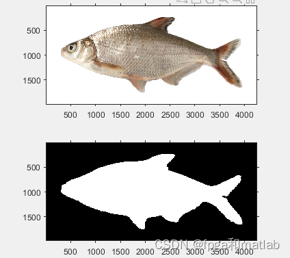 通过matlab实现水产养殖鱼类成熟度自动分析系统_matlab ['cat', 'horse', 'fish', 'bird', 'dog']-CSDN博客