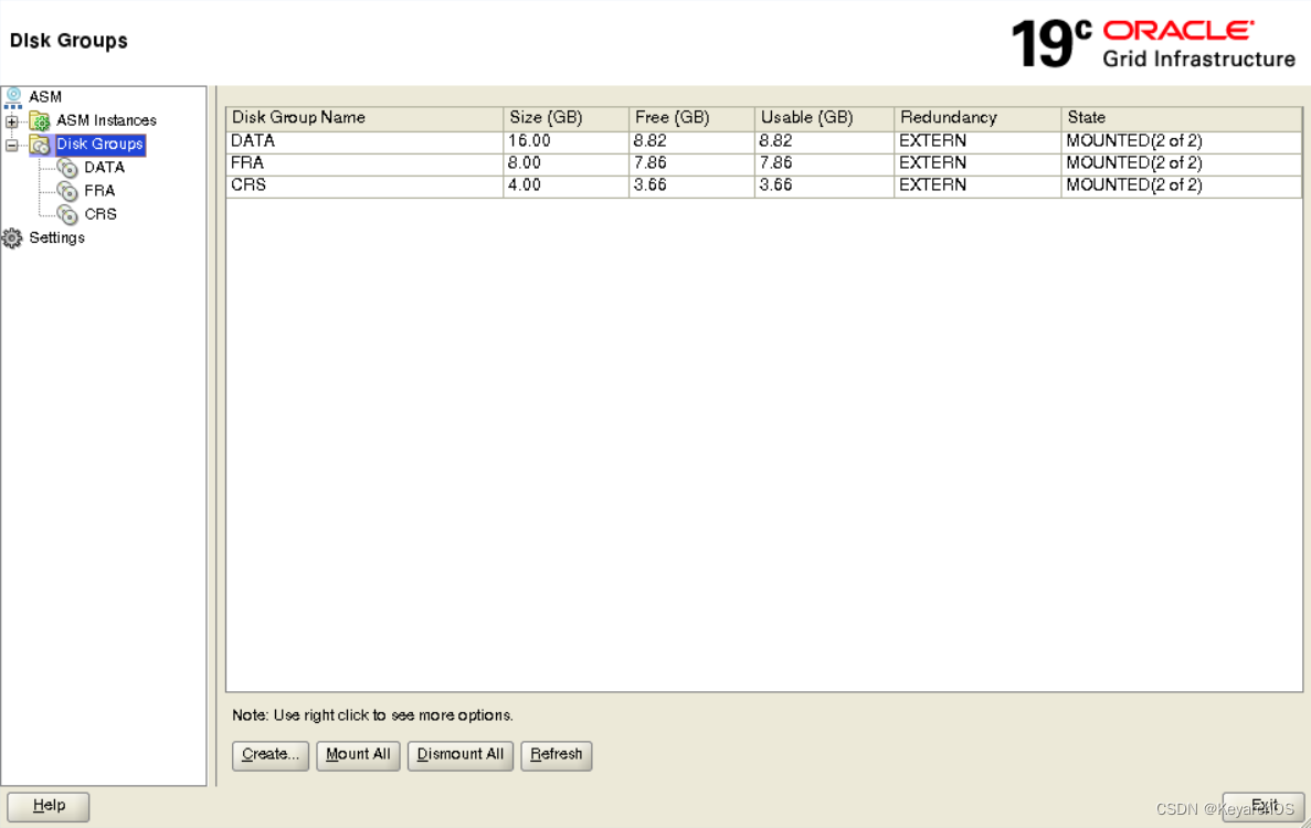 KeyarchOS：Oracle RAC 19c数据库一键安装_oracle数据库安装包-CSDN博客
