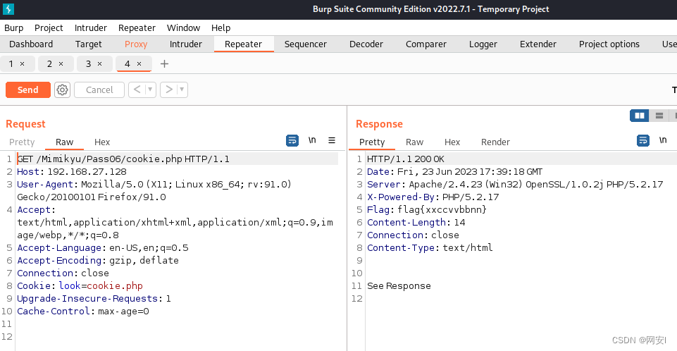 Mimikyu靶场-为新手快速入门CTF-WEB开发的一款靶场-CSDN博客
