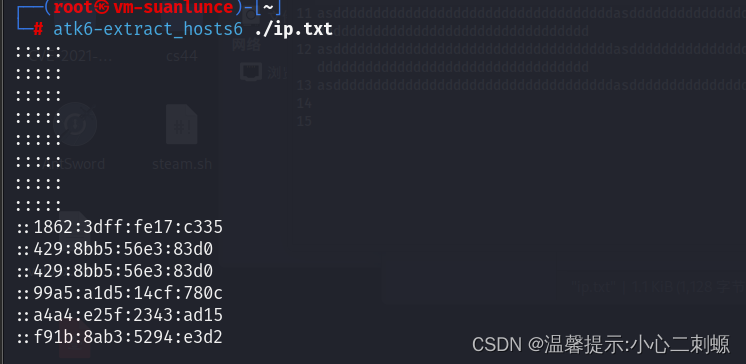 Thc-Ipv6 使用-CSDN博客