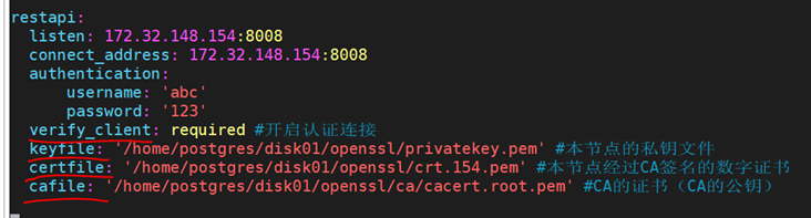etcd\Patroni\PostgreSQL使用SSL、TLS、HTTPS_patroni etcd-CSDN博客