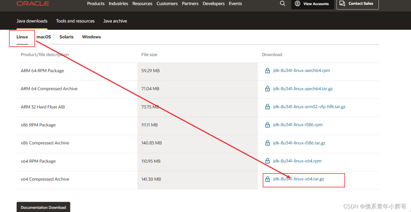 Linux安装jdk的详细步骤-CSDN博客